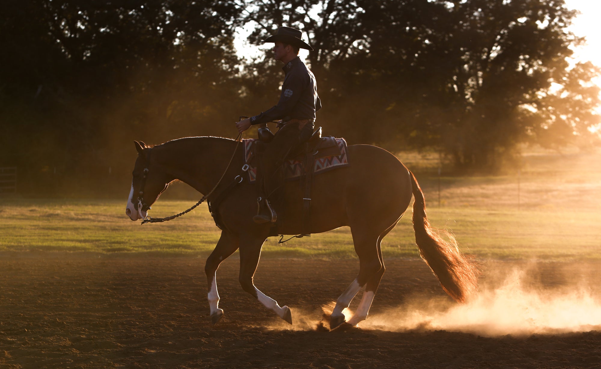 Bud Lyon Performance Horses f